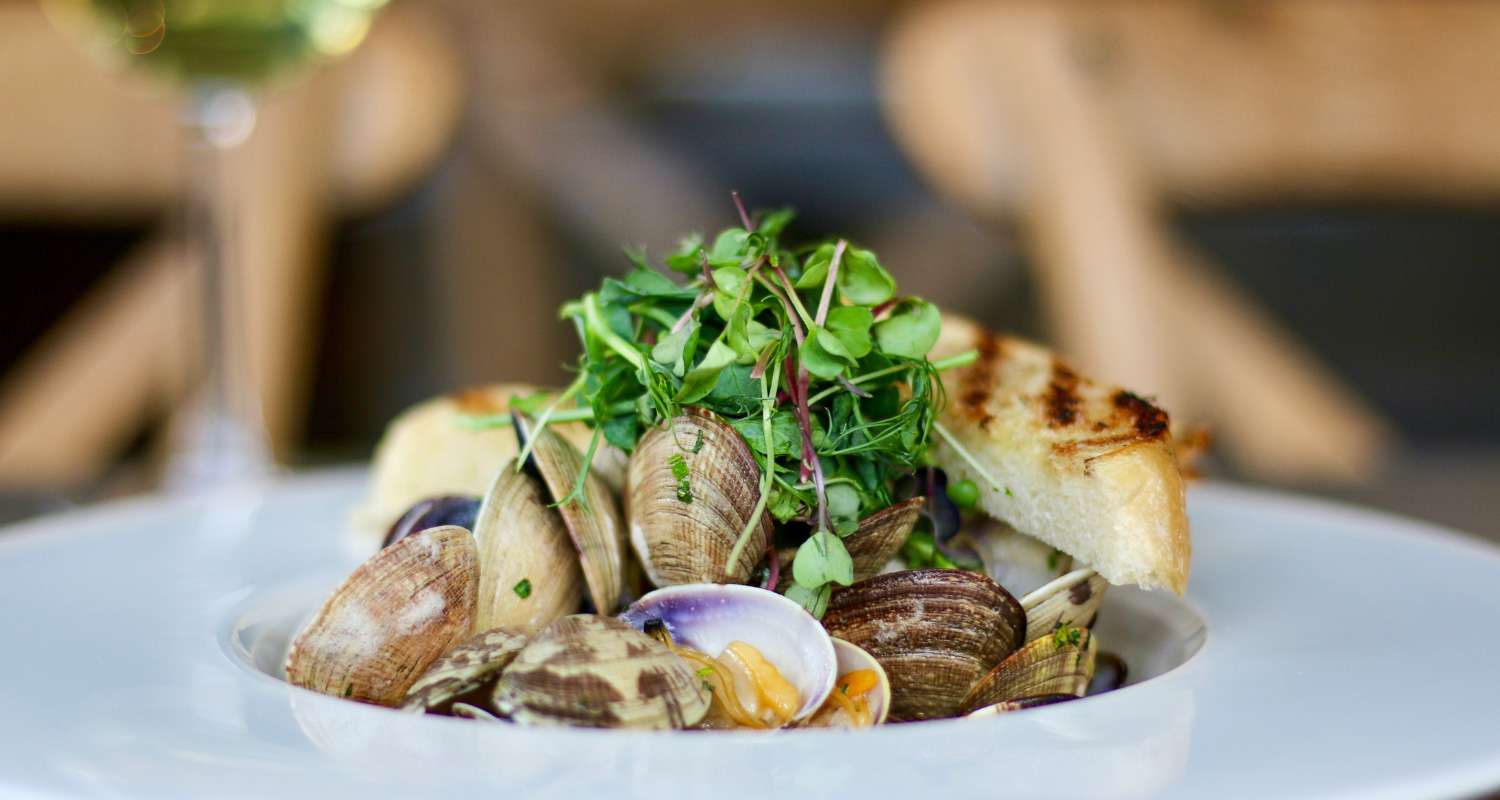 The Best Brunch, Breakfast and More!